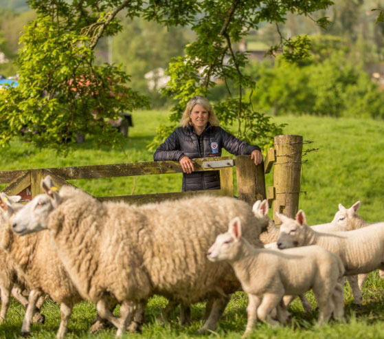 Red Tractor has been driving food standards for over 20 years - Red ...