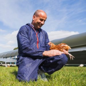 Poultry standards - Red Tractor